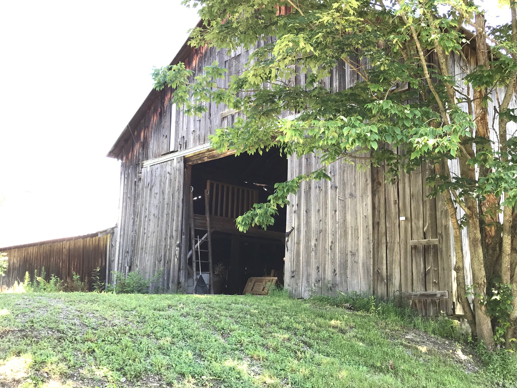 Uhl Family Hosts Second Gathering In The Barn | News, Sports, Jobs ...